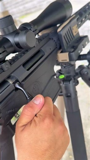 Satisfying Ruger Precision Rifle