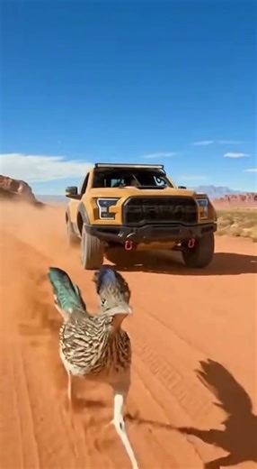 Road Runner Races a Desert Pickup at Full Speed! 🏜️💨 Who Wins?