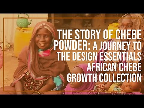 The Story of Chebe Powder: A journey to the Design Essentials African Chebe Growth Collection