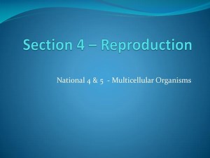 Section 4 – Reproduction - SlideServe