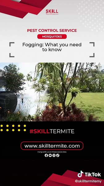 Banish Mosquitoes: Effective Pest Control Techniques