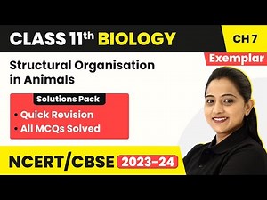 Structural Organisation in Animals - MCQs | NCERT Exemplar Class 11 Bio Chapter 7 | NEET Biology