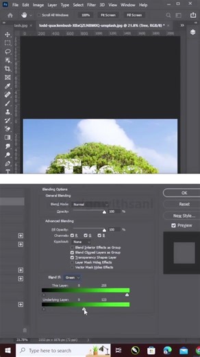 Realistic Tree Text Effect in Photoshop 🌳 | Quick Editing Trick