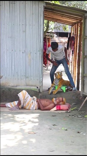 Epic Fake Tiger Sighting Prank on Grandpa – Their Reactions Are Priceless!