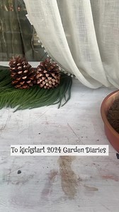 Mini Jade Garden 🪴 #diyhomedecor #minigarden #diyprojects #diyblogger | Design. Decor.Travel