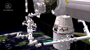 See how Dextre, the Canadian robot on board the ISS, will help spacewalkers install a new docking adapter tomorrow morning. Watch Dextre at work live during the spacewalk on August 19. Coverage will begin at 6:30 a.m. EDT on NASA TV: www.nasa.gov/nasatv. | Canadian Space Agency