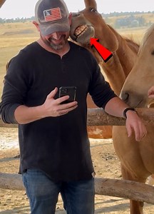 10K views · 120 reactions | Horse VS Bull Fail Rodeo Bloopers At Their Best!藍 | David A.R. White | Facebook