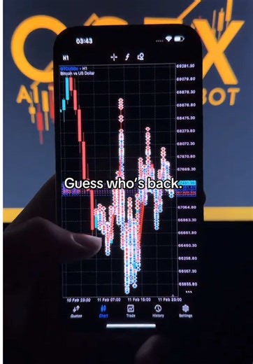 Automation works! ##tradingbot #realresults #motivation #forexrobot #daytrader