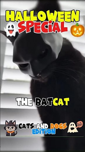 HALLOWEEN SPECIAL #halloween2025 #shorts #cute #funny