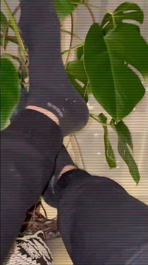 Take off your socks immediately after you get home from work! 🧦