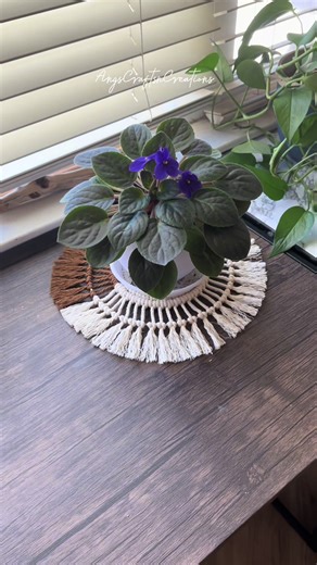 Creative Macrame Plant Coaster DIY Project