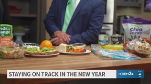 Planning to see 'Sully'? TIA has real-life bird-strike prevention