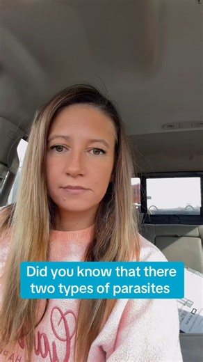 Tajana Cekic on Instagram: "Have you been doing Parasite Cleanses wrong? It’s a new year and if you own a pet, eat pork or travel globally, its time to reset your body. My favorite comprehensive medical grade cleanse is from The Wellness Company. The key ingredients are Iverm*ctin and Mebendaz*le which are proven to get rid of both Protozoa (single-celled parasites) and Helminths (worms). ✅ 18 mg (compared to 12mg like other lesser quality options) ✅ 84 capsules ✅ 4 cycles of use Link is in my b