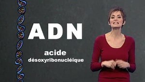 Qu'est-ce que le génome humain? - RTS Éducation - Play RTS