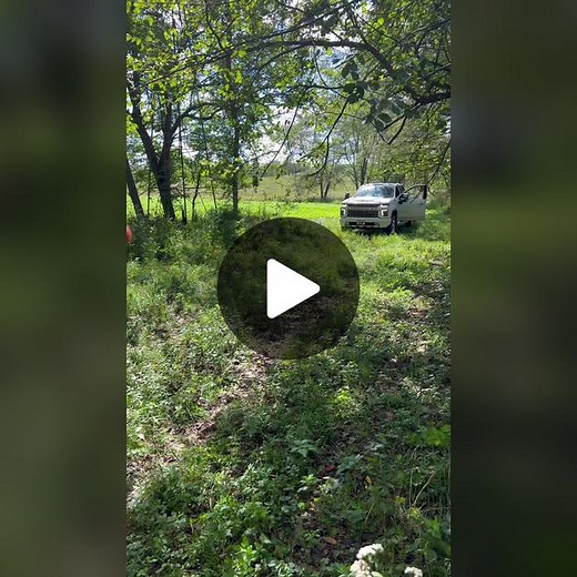 Optimizing Camera Location Tips & Tricks