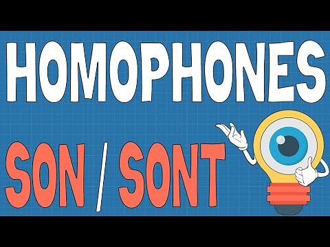 Homophones SON et SONT - Leçon et Exercices