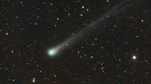 Last chance to spot Comet Lemmon for over a thousand years is here!