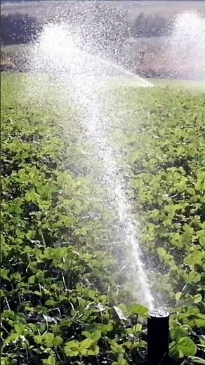 Hunter PGJ Rotor. Automatic Lawn Irrigation System