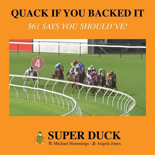 WARWICK’S OWN Michael Hemmings just pulled off one of the most quacking good upsets we’ve seen come out of the bush and into the big smoke! His homebred hero Super Duck has gone from winning in the dust at Flinton last month… to blazing home first in an $85,000 metro win at Brisbane Racing Club yesterday! 🏆💰 That’s right — the 5yo gelding with feathers in his fetlocks took out the Benchmark 78 Handicap over 1350m on a heavy track, leaving the punters gobsmacked at $61 odds and proving he’s no 