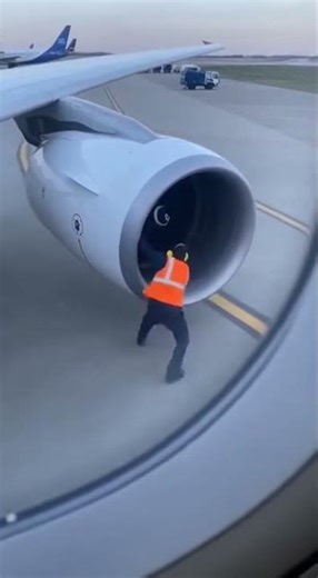 Ground Crew Sucked Into Jet Engine – Horrifying Fatal Moment! #animals