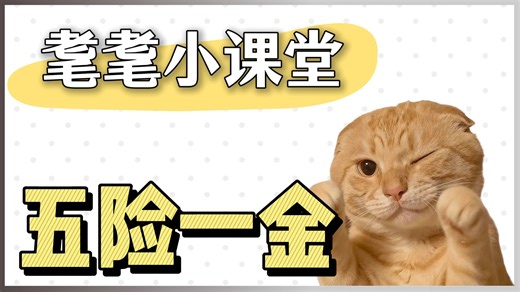 青年大学习：什么是五险一金？