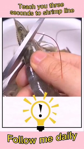 user4484050299968 on TikTok