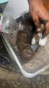 1.3M views · 10K reactions | rare object found in tact in dig A pair of amateur archaeologists find an artifact three feet down. Its remarkable the condition. No idea how old this object is either. | The Monroe Family | Facebook