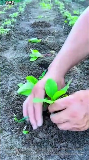 This Garden Drill Bit Makes Planting Holes in Seconds! 🌱⚡