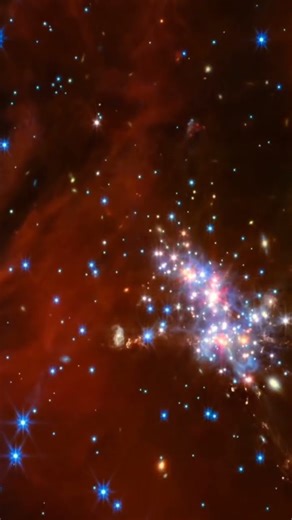 NIRCam and MIRI are two of the four primary scientific instruments on the James Webb. #miri