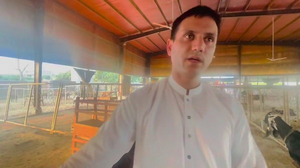 6.7K views · 432 reactions | Unplanned Breeding Disadvantages In Goats || منصوبہ بندی کے بغیر بکریاں حاملہ کروانے کے نقصانات | Goat Land Farms | Facebook