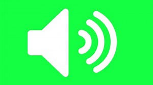 Icon of Sound on a Green Screen (Chroma Key) Background. Isolated Symbol of Audio Technology, Music, and Sound. 4k Vector Animation of Speaker Volume Logo.