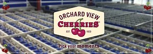 Oppy Partner, Orchard View, to Begin Cherry Harvest in June