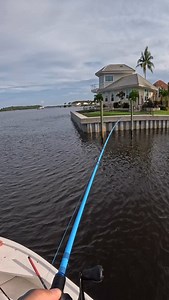 At least I got a good cast 😂 #fishing | Abenz Fishing