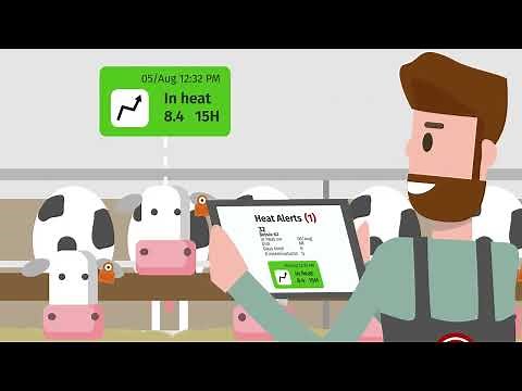 Smart & Simple: How the CowManager system works