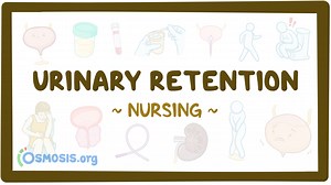 Urinary retention: Nursing: Video & Causes | Osmosis