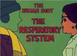 Grade 5 Human Body Lesson 3 Respiratory System