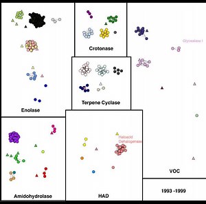 File:Annotation-Error-in-Public-Databases-Misannotation-of-Molecular-Function-in-Enzyme-Superfamilies-pcbi.1000605.s006.ogv - Wikimedia Commons
