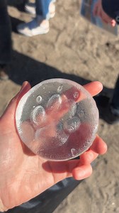 Remember the first time they placed their paw in your hand? That connection, that unwavering love – it's a core memory. Hot Paws helps you capture that feeling in a tangible keepsake, a glass imprint of their unique paw. Relive those cherished moments, every day. | Hot Paws