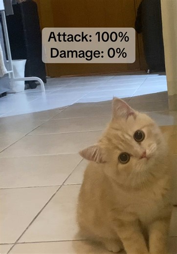 Stealth: 10/10. Strategy: sneak up… one inch at a time. 😂😻😹 #cat #catlovers #funnycat #fyp #catsoftiktok #catmomlife #POVcat #relatablecat #cats #simbathecat