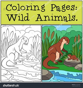 Coloring Pages Wild Animals Mother Otter Stock Vector (Royalty Free) 475026298 | Shutterstock