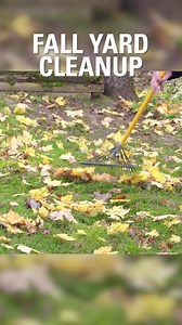3.6K views · 26 reactions | Now that we're well into fall, it's time to prep your yard and lawn before winter. We've got rakes, leaf bags, tree pruners, work gloves, and lawn fertilizer ready to go for you. Follow our helpful tips, and you'll be on your way to a debris-free yard and luscious grass when spring arrives. https://bit.ly/3Yo1wAr #fallcleanup #yardprep #fall #autumn | Menards | Facebook