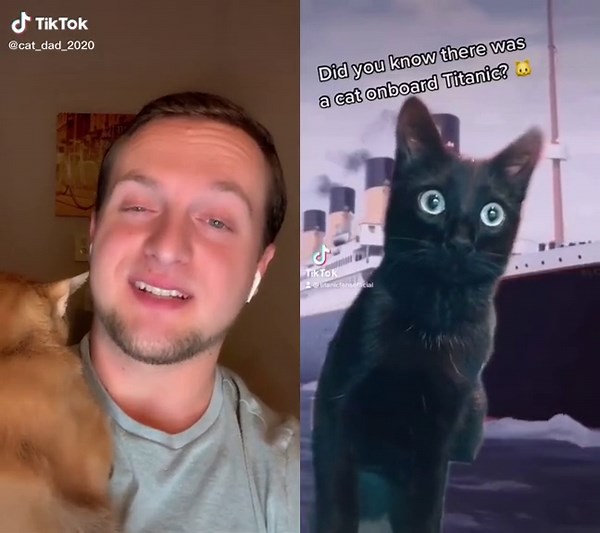 Cat's Journey on the Titanic: Did You Know?