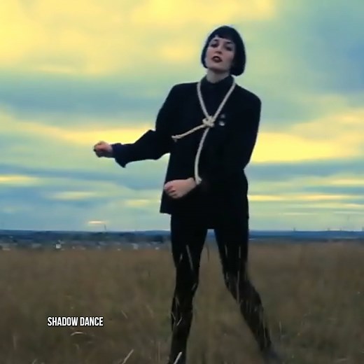 290K views · 23K reactions | Lebanon Hanover - Gallowdance | Shadow Dance | Facebook