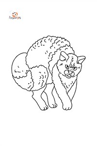 Grumpy Cat coloring page ♥ Online and Print for Free!