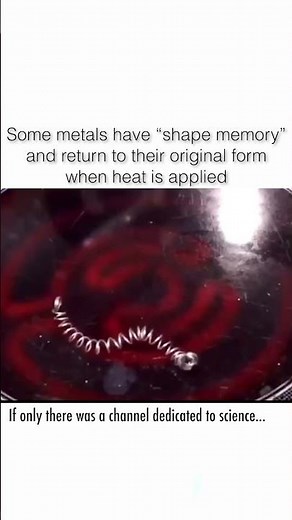 Why Do Some Metals Remember Their Shape?
