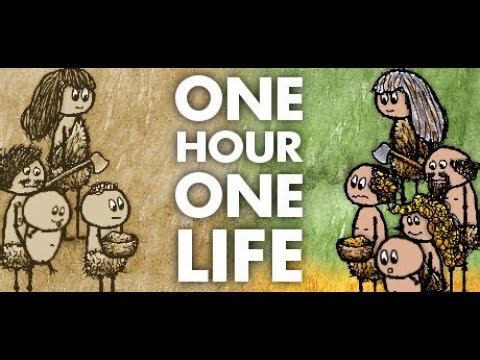 One Hour One Life