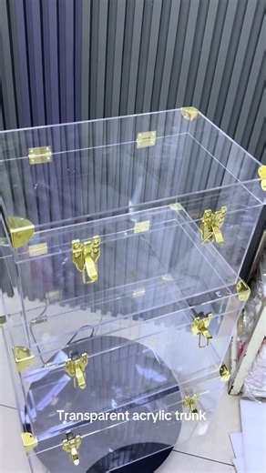 Luxury Transparent Acrylic Trunks for Stylish Storage