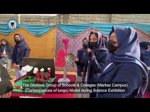 🫁🔬 Science Exhibition | Harmful Effects on Lungs Model Presentation | Glorious GCS #lungshealth