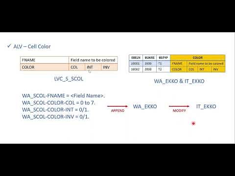 Video 10 ALV: Color a Cell