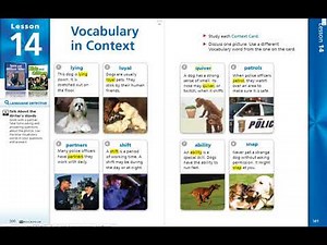 Journeys Lesson 14 Vocabulary in Context Cards: Aero and Officer Mike: Police Partners